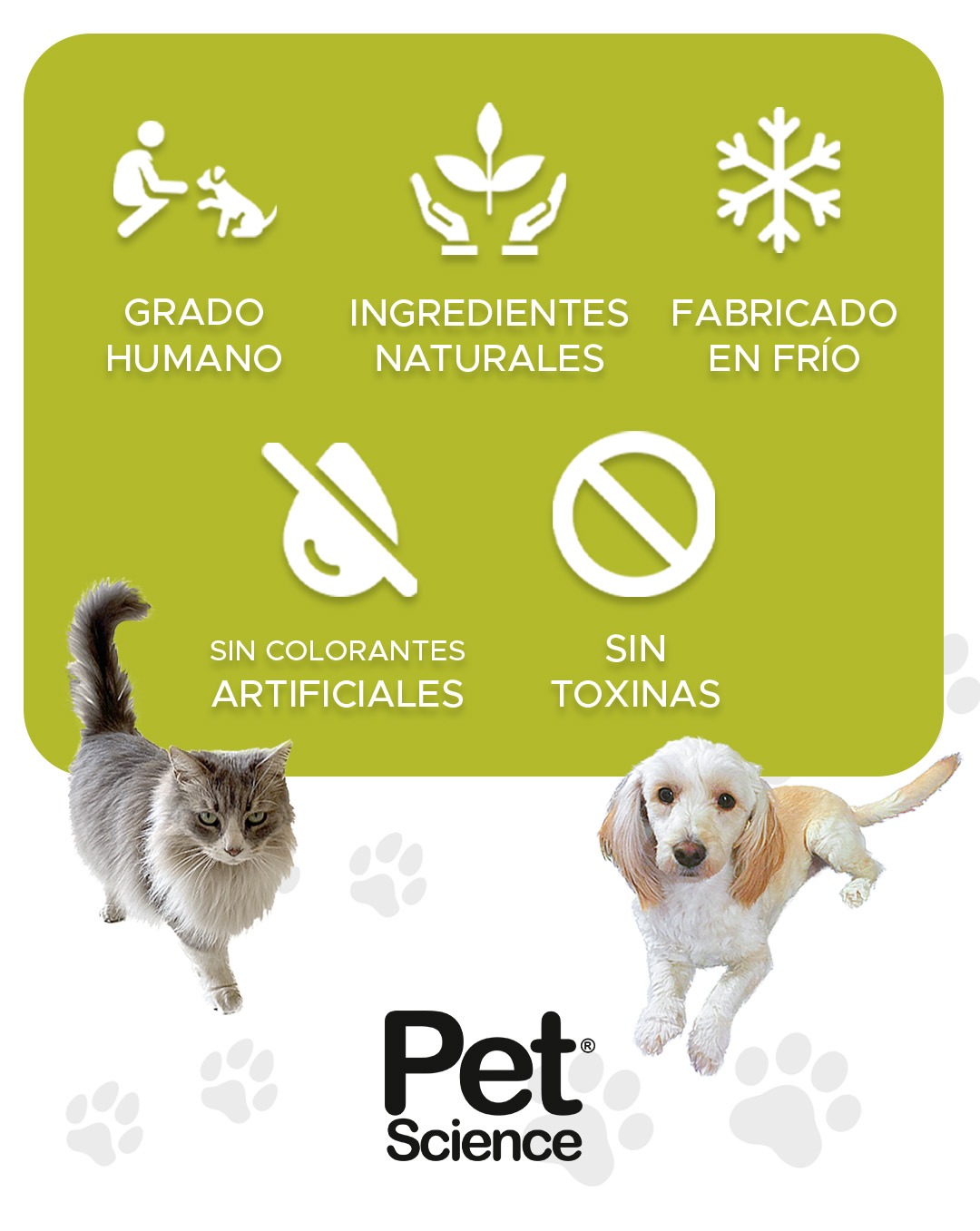 Inicio - PetScience